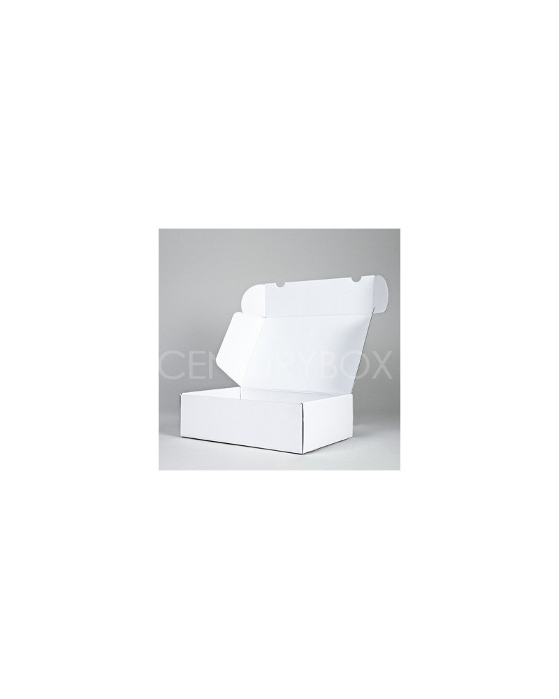 Postpack - shipping box - packaging for secure mailing