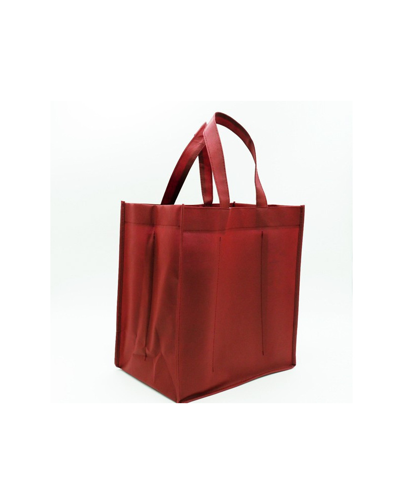 TNT LUS bag for 4 or 6 bottles