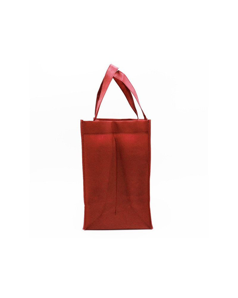 TNT LUS bag for 4 or 6 bottles