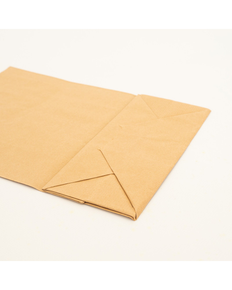 Twisted handles bag - kraft paper.