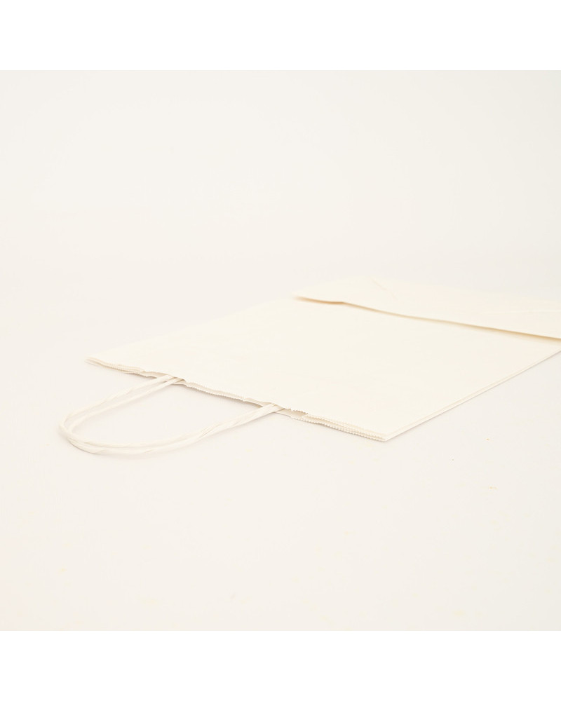 Twisted handles bag - kraft paper.